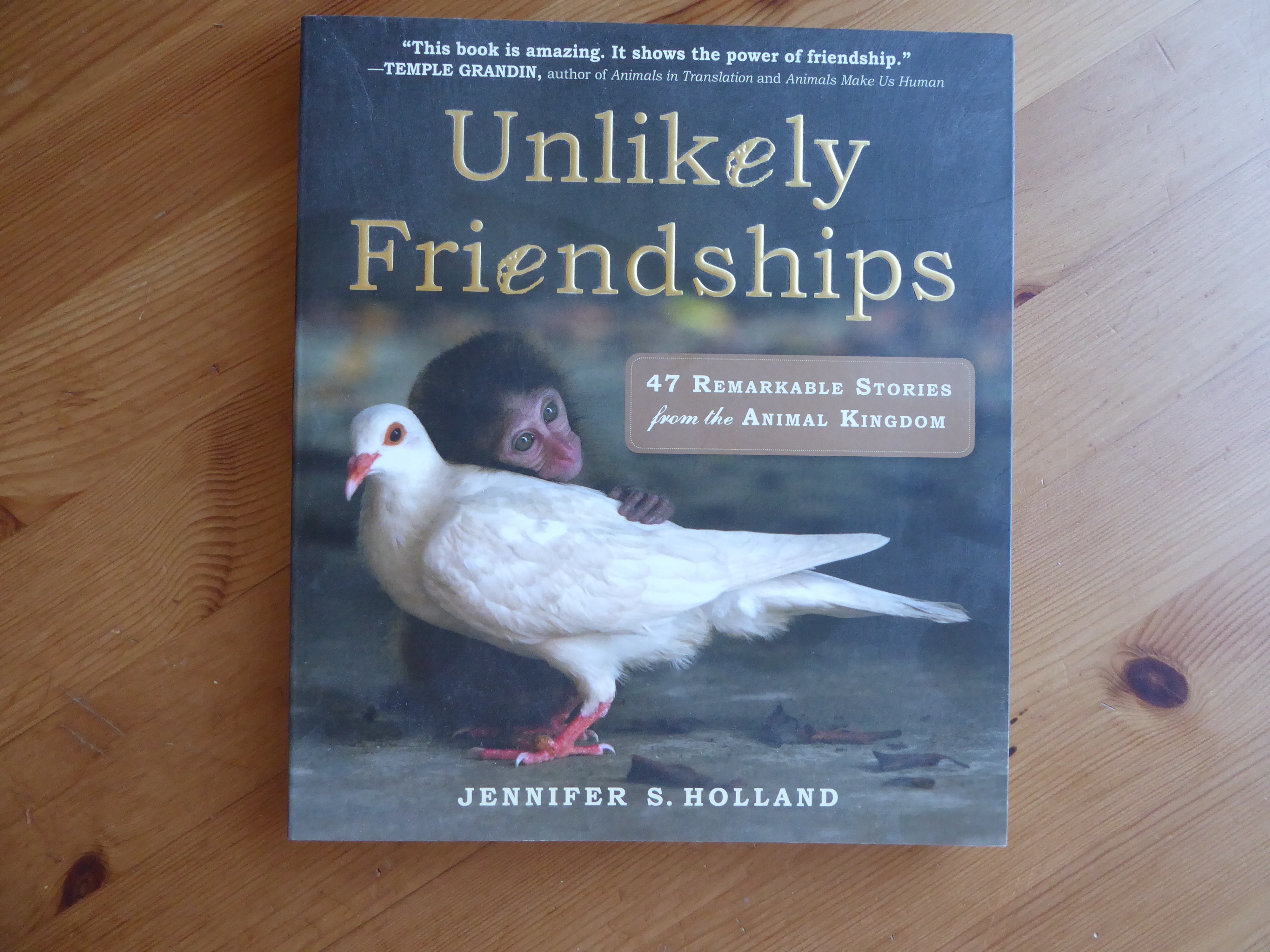 Unlikely Friendships by Jennifer S. Holland – Animal Cuteness -A Post a ...